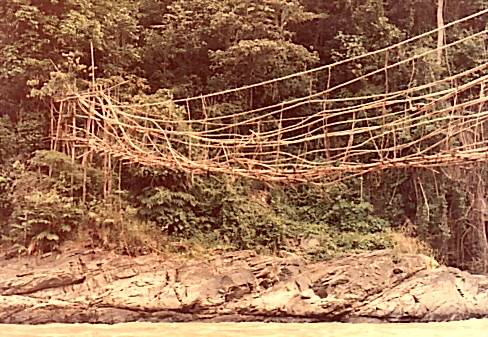 Thor's Papua New Guinea 6